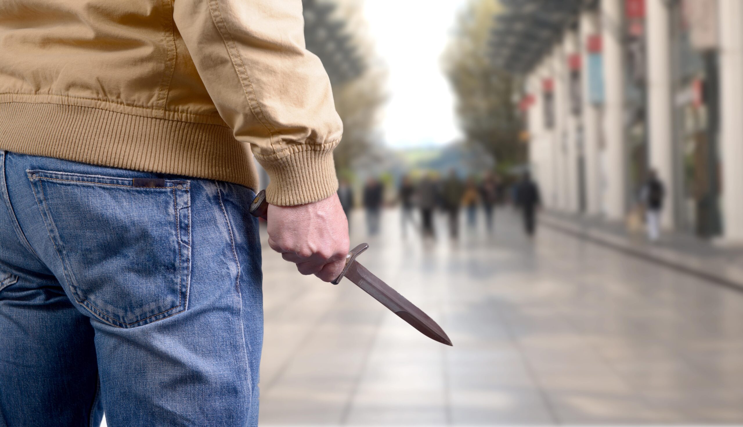 Staying Safe in a Dangerous World: How to Respond to Knife, Gun, and ...